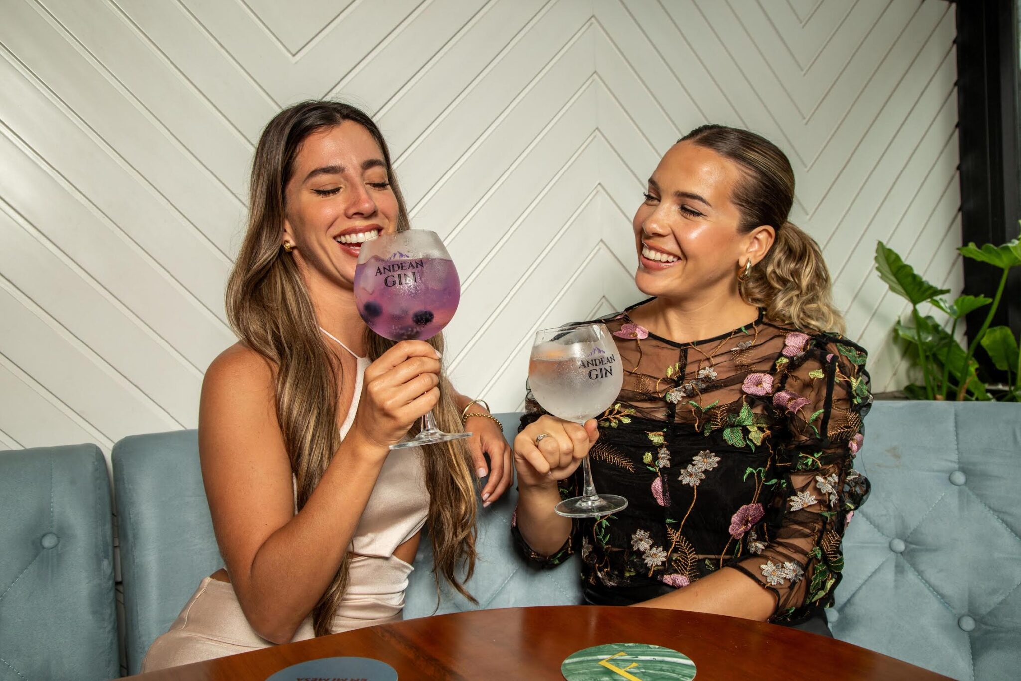 Destilería Don Michael lanza “Andean Gin Arándanos”: un Gin que cambia ...